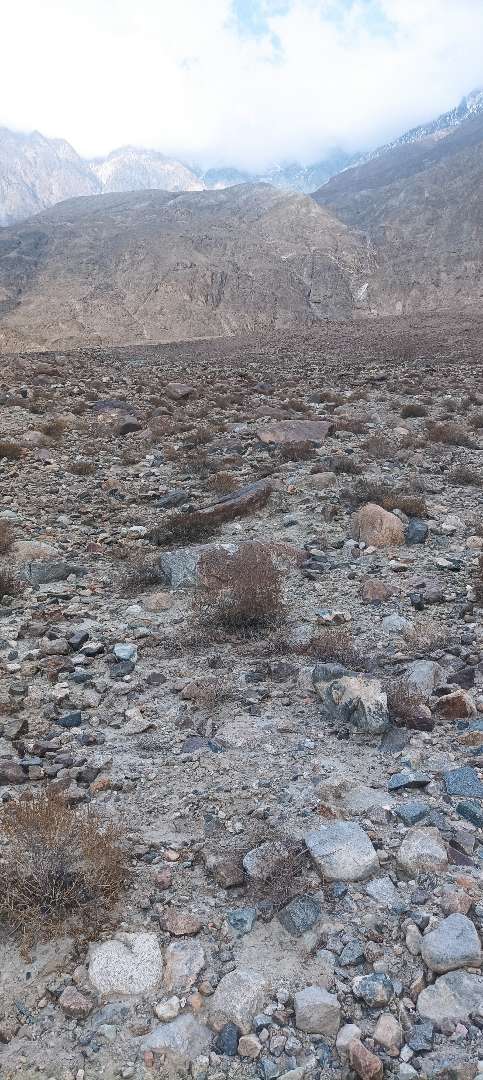 7 Kanal Plot At Jutal Danyore Gilgit - Plot - GilgitApp